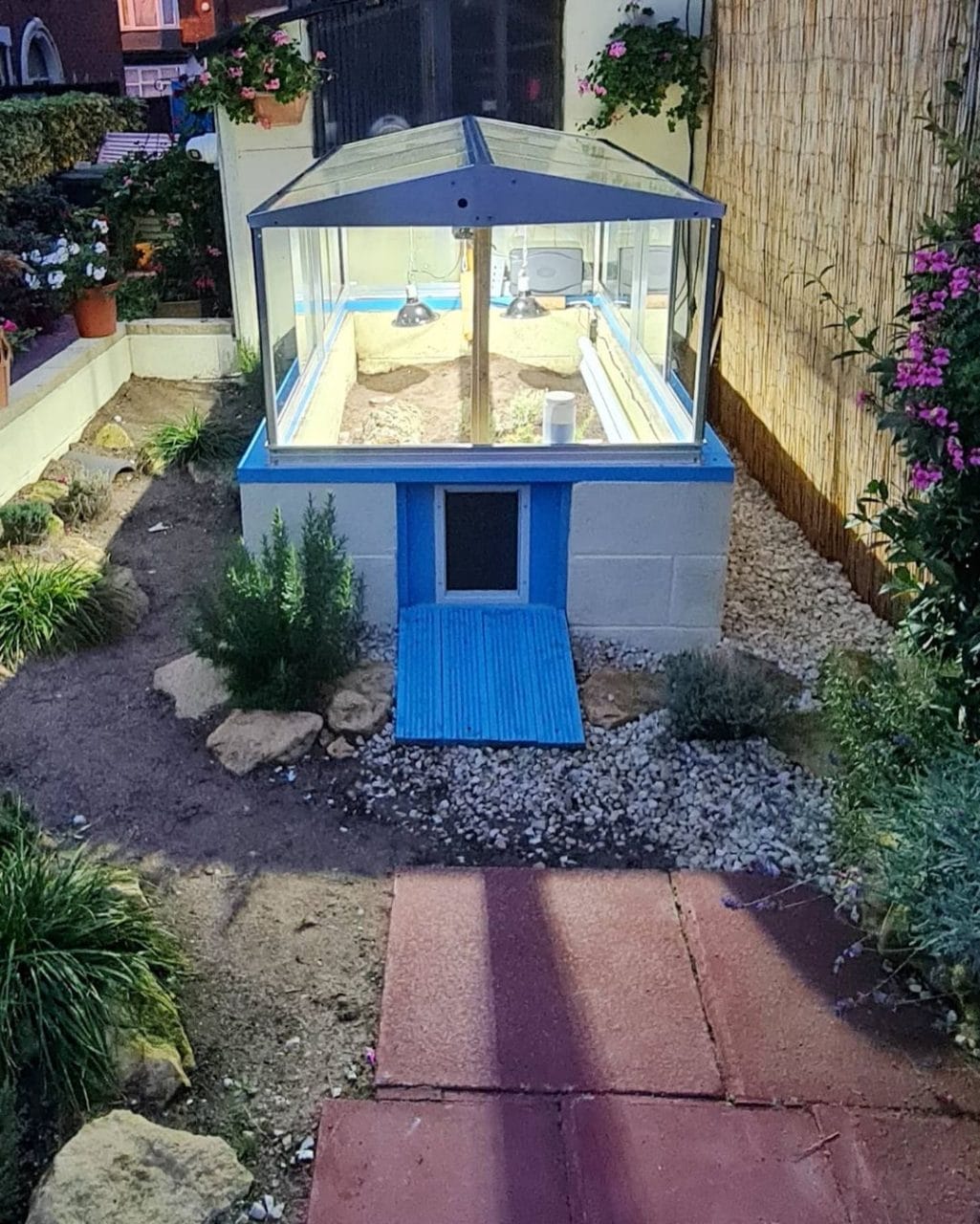 15 Genius Outdoor Tortoise Enclosure Ideas You Can Build in a Weekend ...