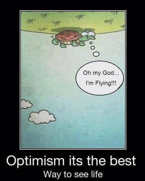 100 Funny Turtle Memes & AI Turtle Pics – The Turtle Hub