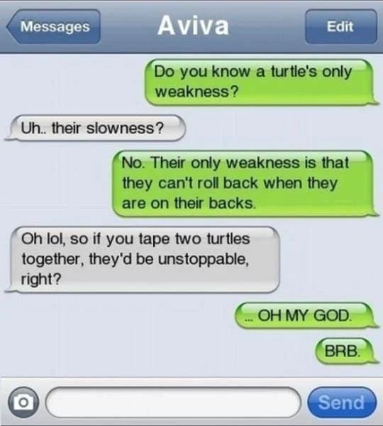 100 Funny Turtle Memes & AI Turtle Pics – The Turtle Hub