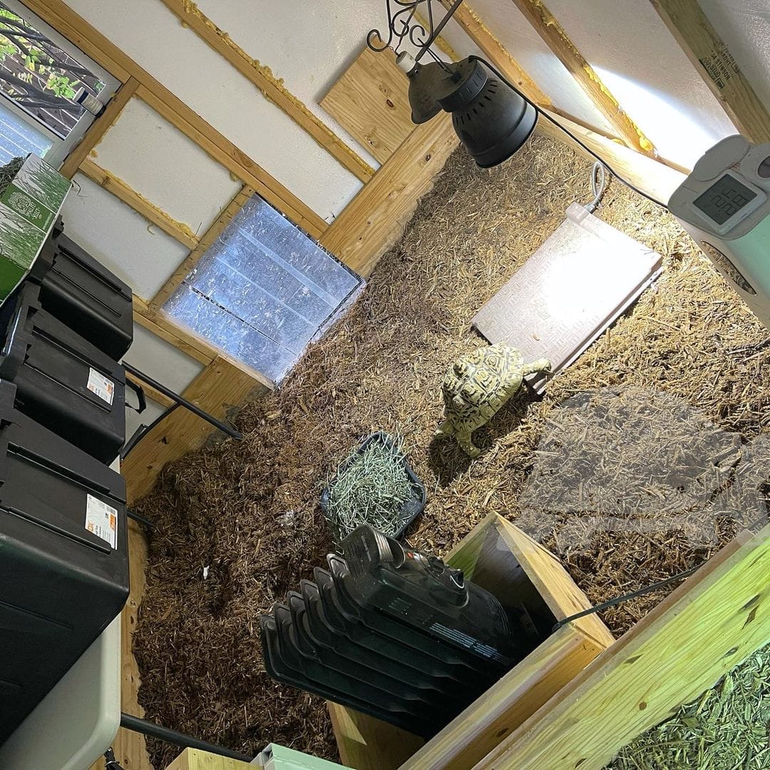 20 Indoor Tortoise Enclosures Ideas That Are Too Good To Ignore – The ...
