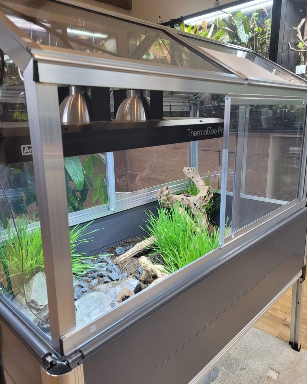 15 Indoor Tortoise Enclosures You’ll Want to Copy for Your Shelled ...