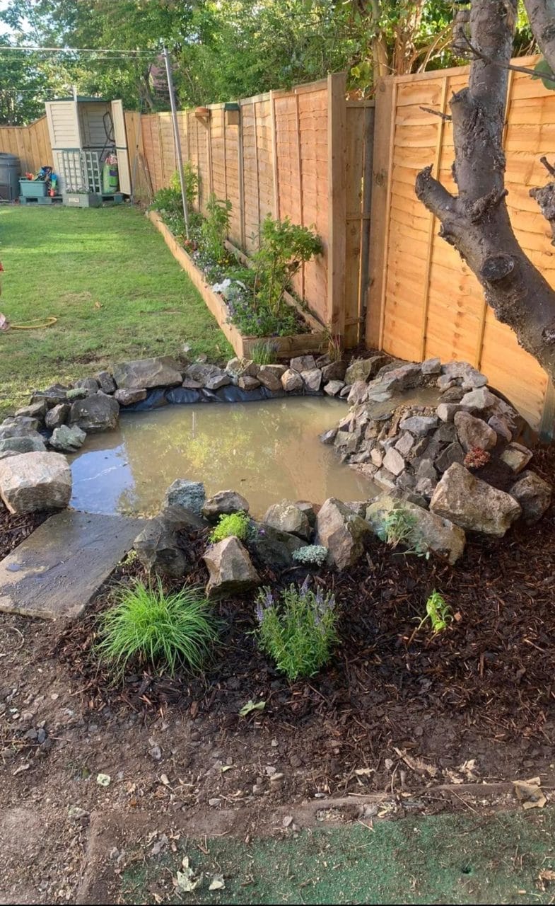 You Won’t Believe How Easy These 10 Tortoise Pond Ideas Are to Build ...