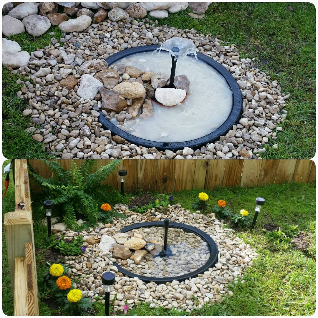 How to Build the Ultimate Outdoor Tortoise Habitat with a Gorgeous Pond ...