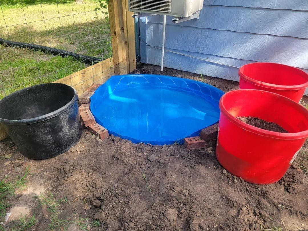 10 Genius Tortoise Pool Ideas That Will Make Your Pet’s Summer ...