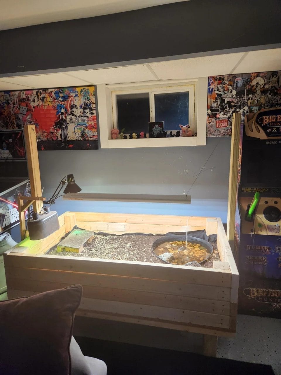 10 Genius Tortoise Pool Ideas That Will Make Your Pet’s Summer ...