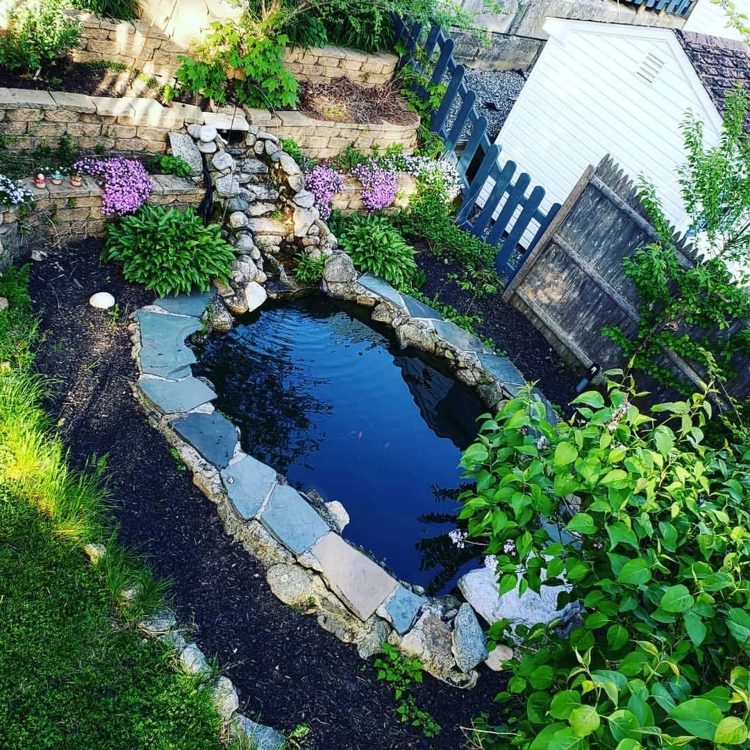 These 10 Outdoor Turtle Pond Ideas Will Make You Want to Build One ...