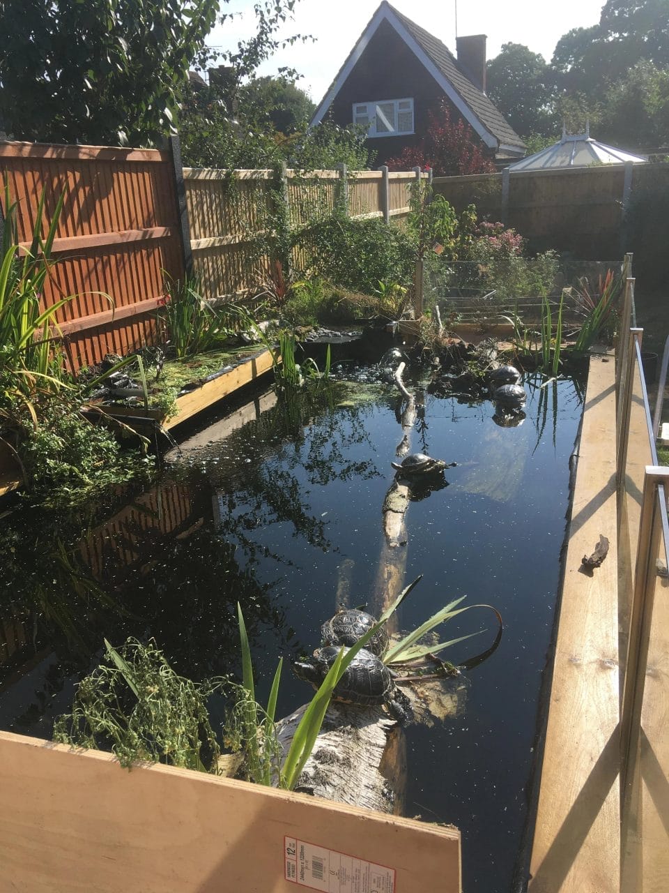 These 10 Outdoor Turtle Pond Ideas Will Make You Want to Build One ...