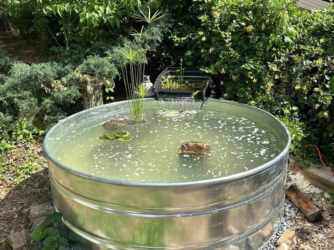 DIY Turtle Shell Costume Ideas For Halloween [Steps & Pics] – The ...