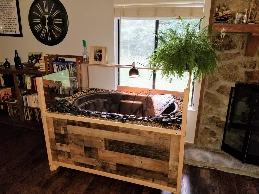 Turtle Owners Are Obsessed With These Indoor Pond Ideas – The Turtle Hub
