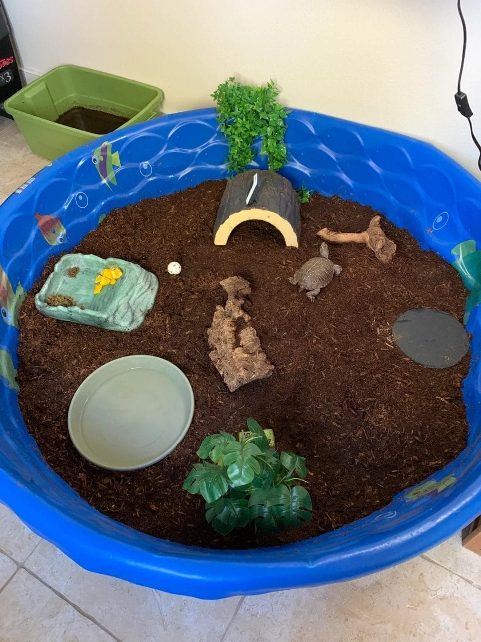 7 Indoor Box Turtle Habitat Ideas You’ll Want To Copy RIGHT NOW! – The ...