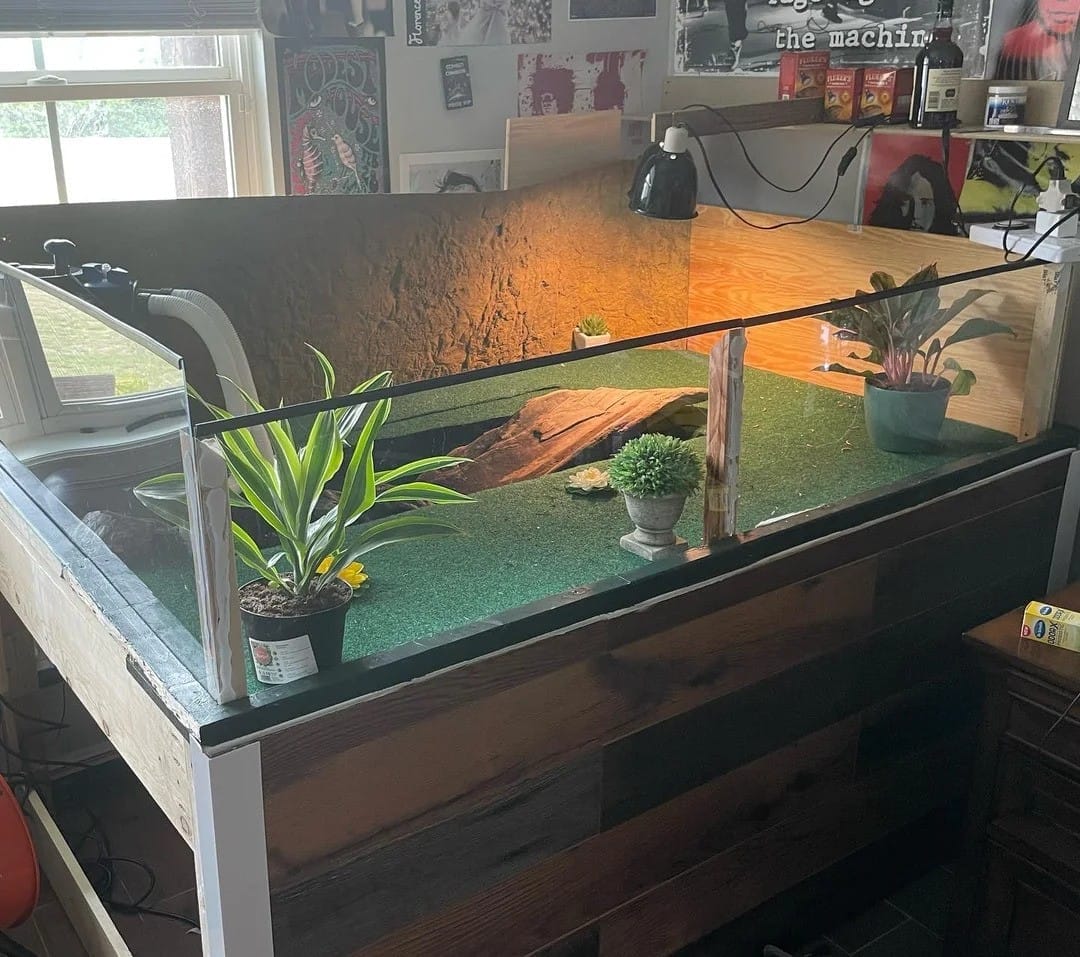 7 Aquatic Turtle Habitat Ideas Every Turtle Owner Needs to Try Today ...