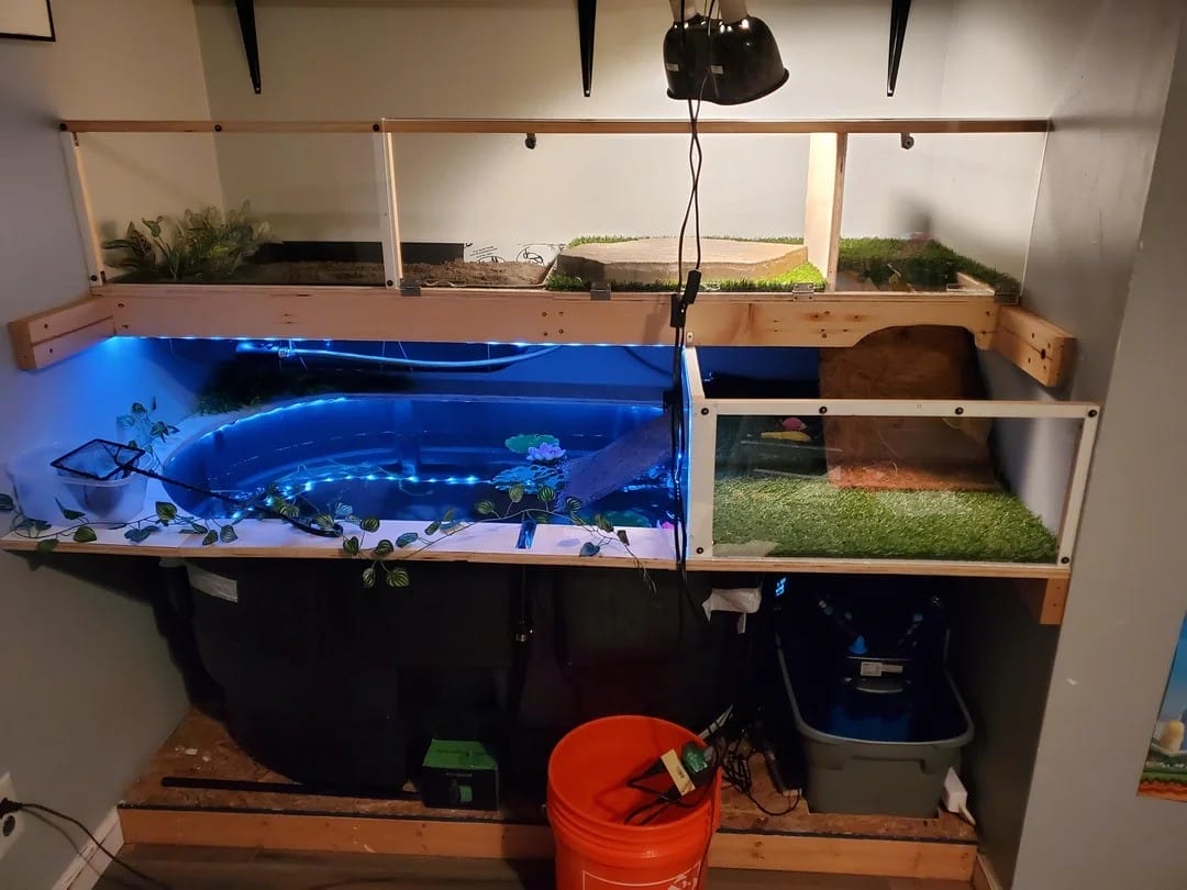 5 Red Eared Slider Turtle Habitat Setups You’ll Want to Copy – The ...