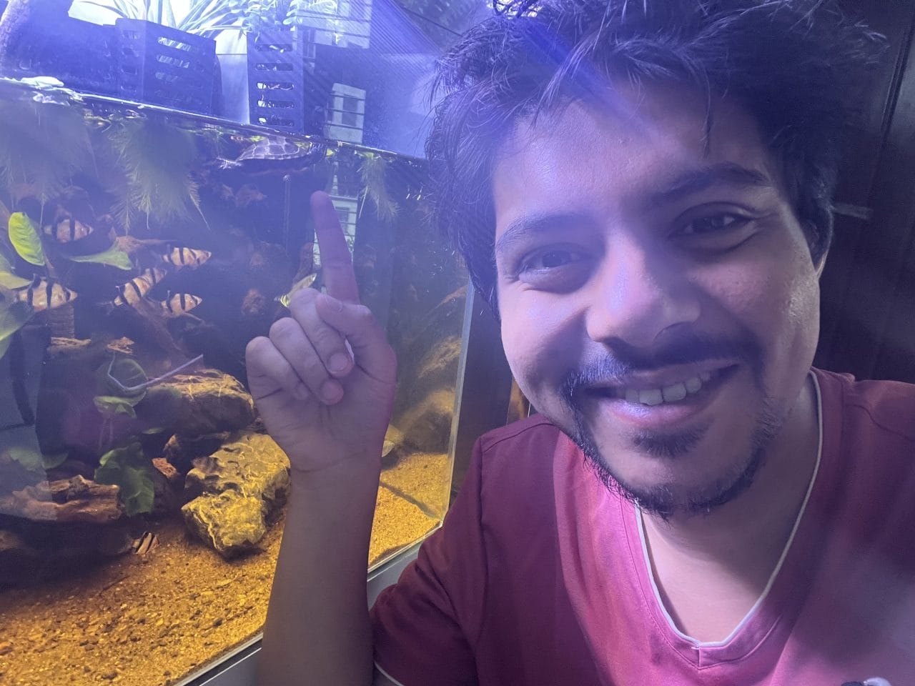 8 Signs A Tortoise Shows When It’s Stressed [Must Read] – The Turtle Hub