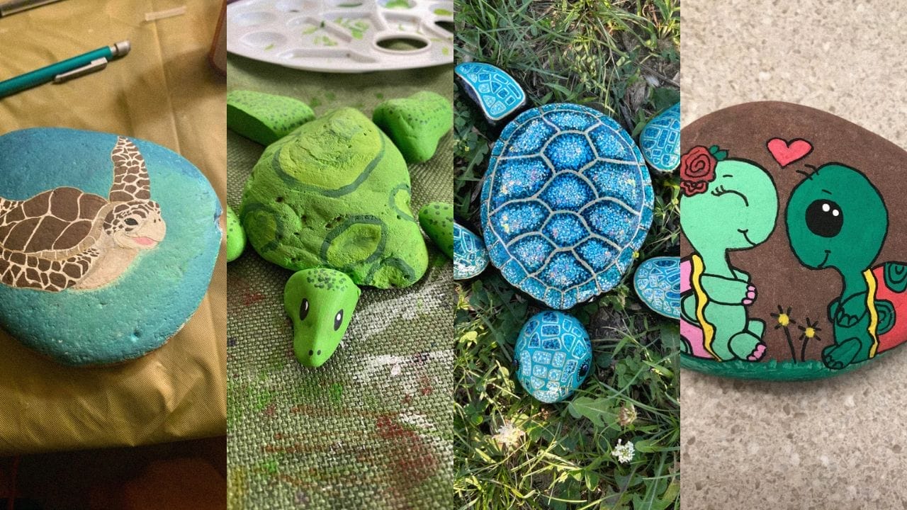 5 Turtle Rock Painting Ideas Anyone Can Try at Home – The Turtle Hub